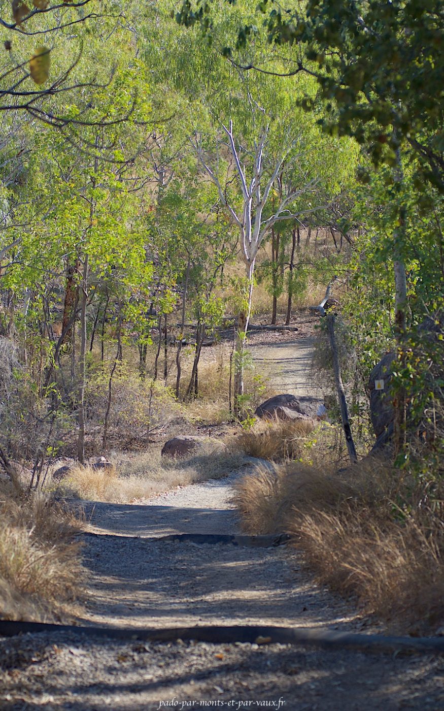 Australie 2016 - J09 - Katherine Gorges - Patrice & Dominique - Par ...